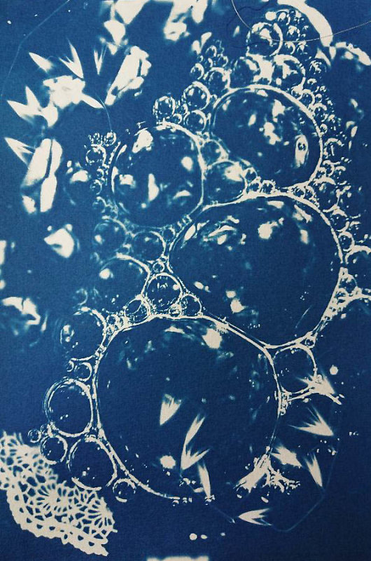 Bubbles-cyanotype.jpg - Grange Art Studio
